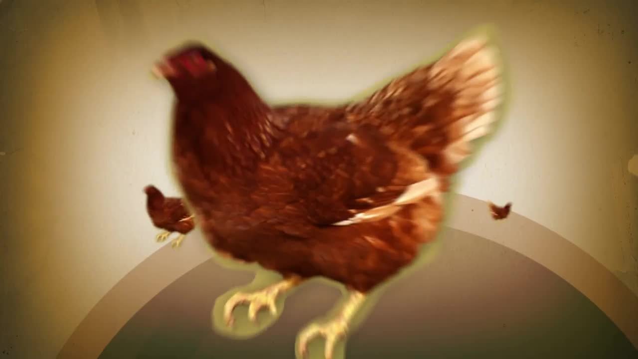 Give a Chicken
