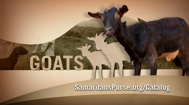 Give a Goat, Help Change the World