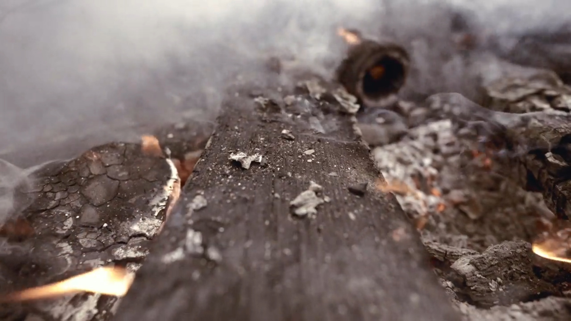 Blessings and Cleansing After the Fire